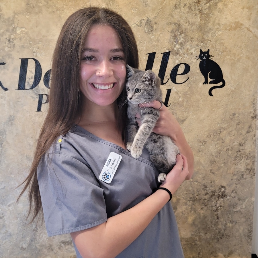 Meet the Team | Del Valle Pet Hospital
