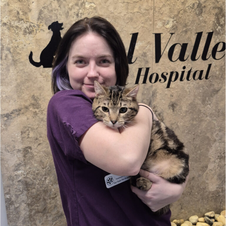 Meet the Team | Del Valle Pet Hospital
